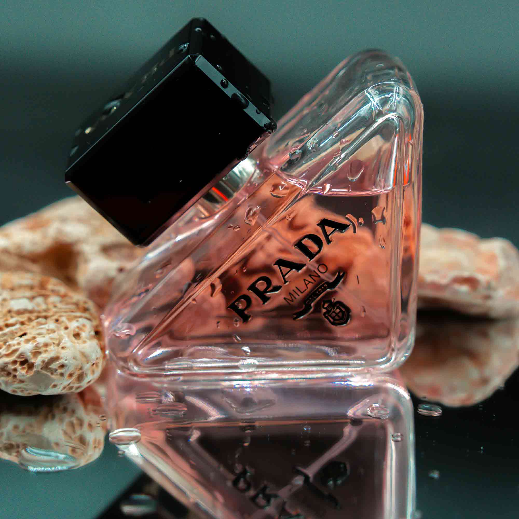 Die Geheimnisse der Parfumherstellung: Von der Pflanze zum Flakon – MyScent